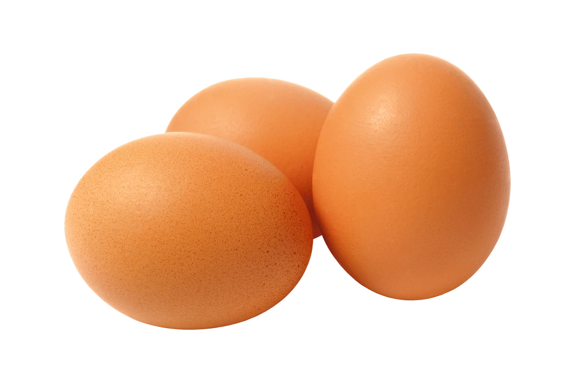 Egg Allergy Symptoms and Treatment - Food Allergy Institute
