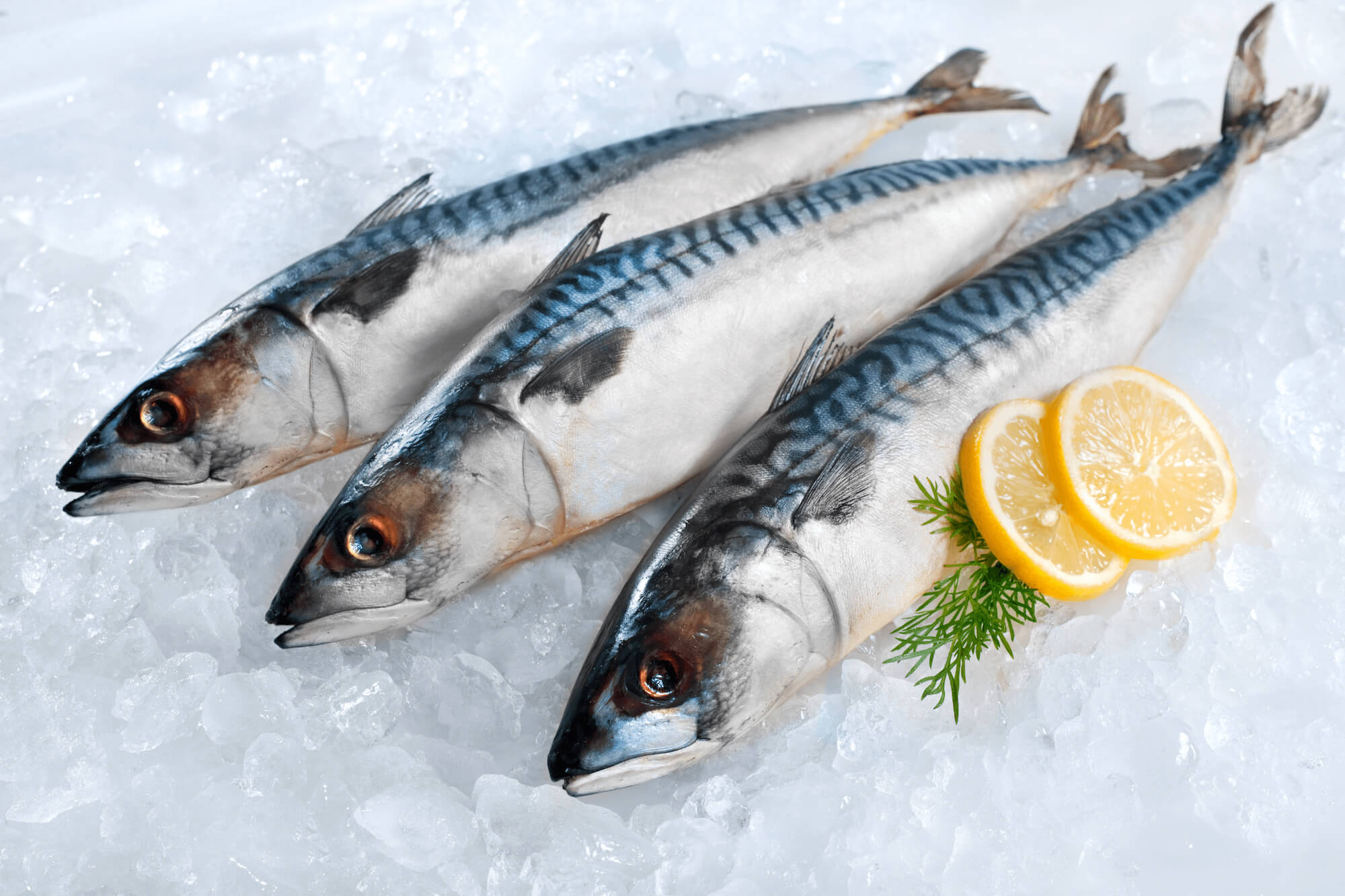 Fish Allergy Symptoms and Treatment - Food Allergy Institute